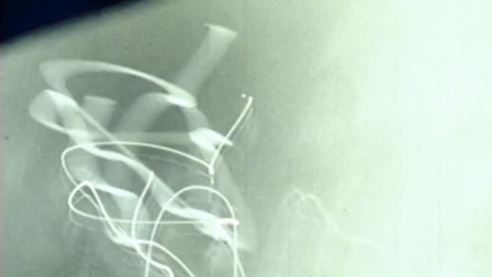 DESBORDAMIENTOS: DEBORAH S. PHILLIPS E JAMES EDMONDS - (S8)